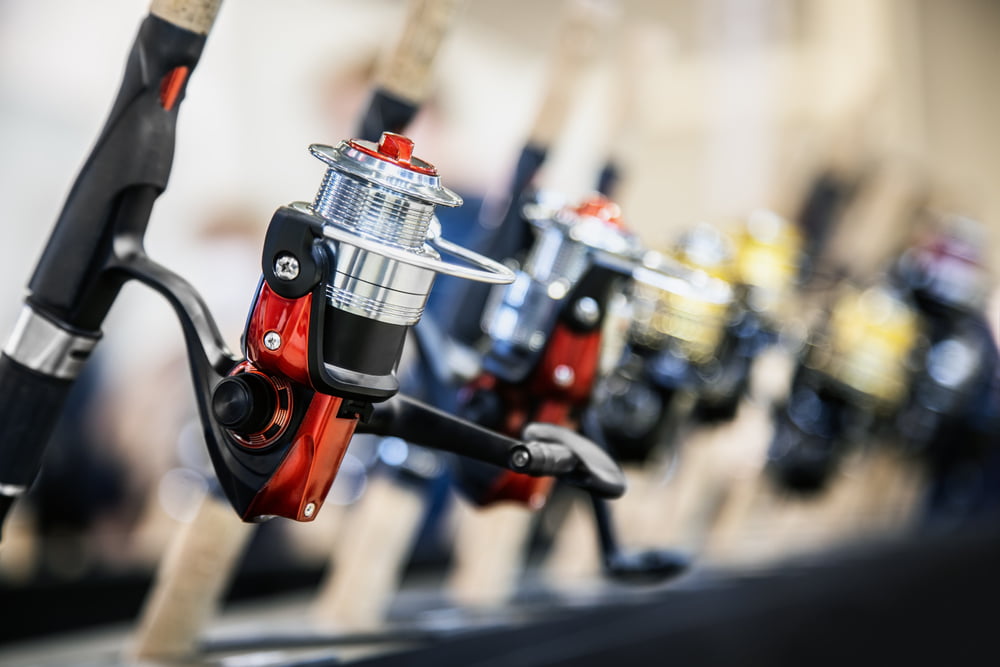 How To Use These 3 Types Of Fishing Reels: An Essential Guide For ...