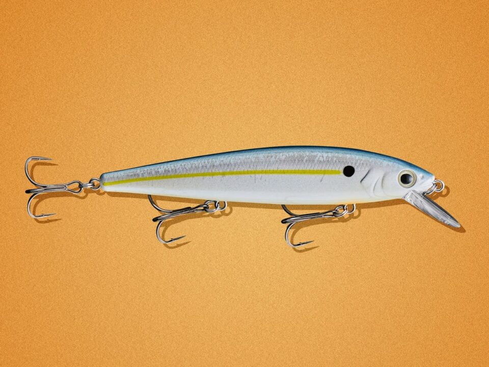Best Forward-Facing Sonar Baits | Bass Angler Magazine